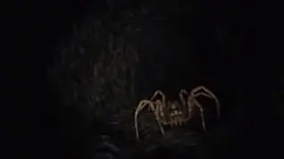 Entity 039 - "Aravoichs" | The Transitory Records Wiki | Fandom