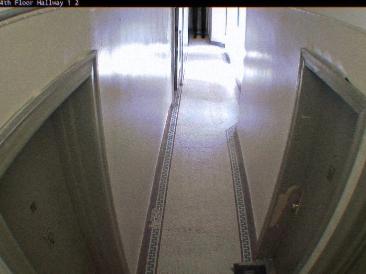 The Long Hallway | The Trevor Henderson Creatures Wiki | Fandom