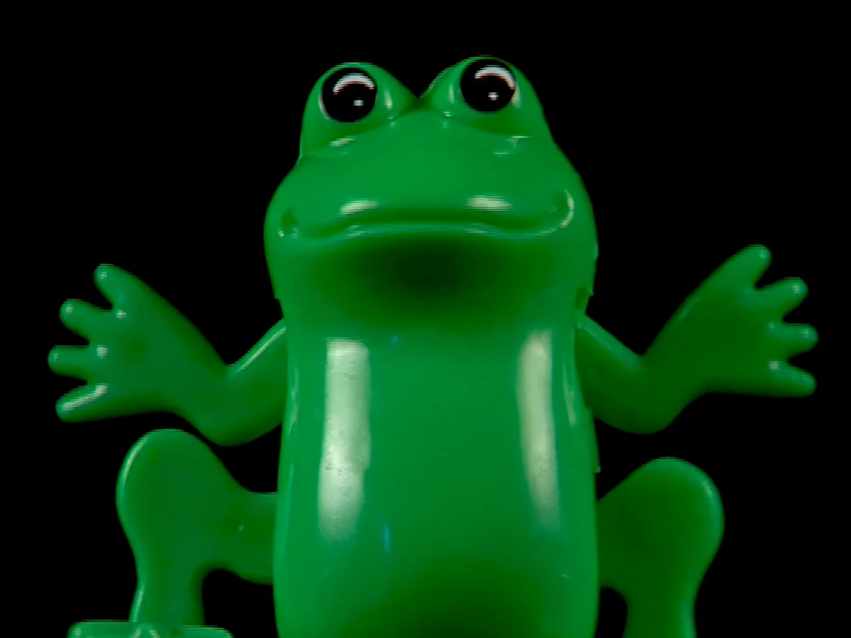 Wind-Up Side Stepping Frog | The True Baby Einstein Wiki | Fandom