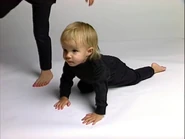 Aspen Clark/Gallery | The True Baby Einstein Wiki | Fandom