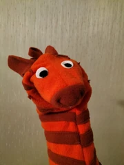 Seasons Zebras | The True Baby Einstein Wiki | Fandom