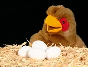 Red Hen Hand Puppet | The True Baby Einstein Wiki | Fandom