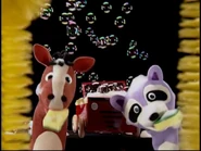 Raccoon | The True Baby Einstein Wiki | Fandom