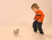 Baby Wordsworth/Gallery | The True Baby Einstein Wiki | Fandom