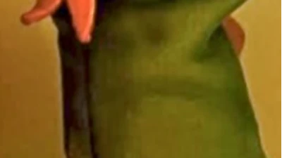 Discuss Everything About The True Baby Einstein Wiki | Fandom