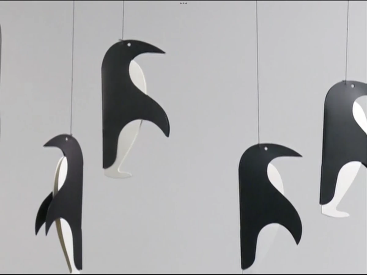 Penguin Talk | The True Baby Einstein Wiki | Fandom