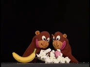 Jane the Monkey | The True Baby Einstein Wiki | Fandom