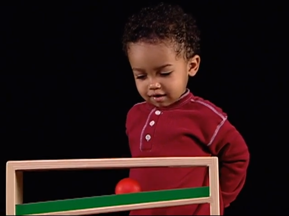 Jayden Bixsen | The True Baby Einstein Wiki | Fandom