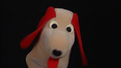 Discuss Everything About The True Baby Einstein Wiki | Fandom