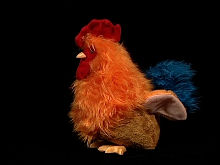 Baby Einstein Macdonald Chicken A Review On The Rikki Rooster From