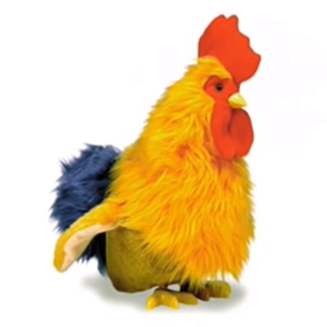 Rooster (Baby Webster) | The True Baby Einstein Wiki | Fandom