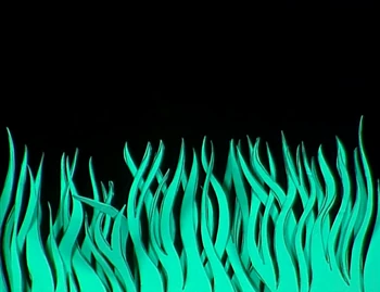 Grass Prop | The True Baby Einstein Wiki | Fandom