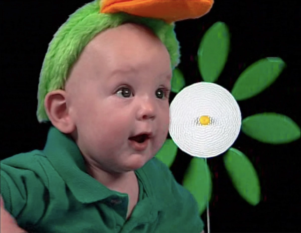 Macrae Long/Gallery | The True Baby Einstein Wiki | Fandom