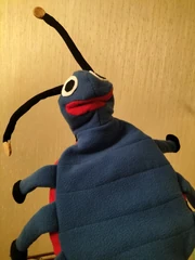 Ladybug | The True Baby Einstein Wiki | Fandom