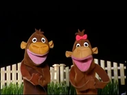 Baby da Vinci the Monkey | The True Baby Einstein Wiki | Fandom