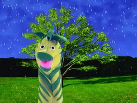 Seasons Zebras | The True Baby Einstein Wiki | Fandom