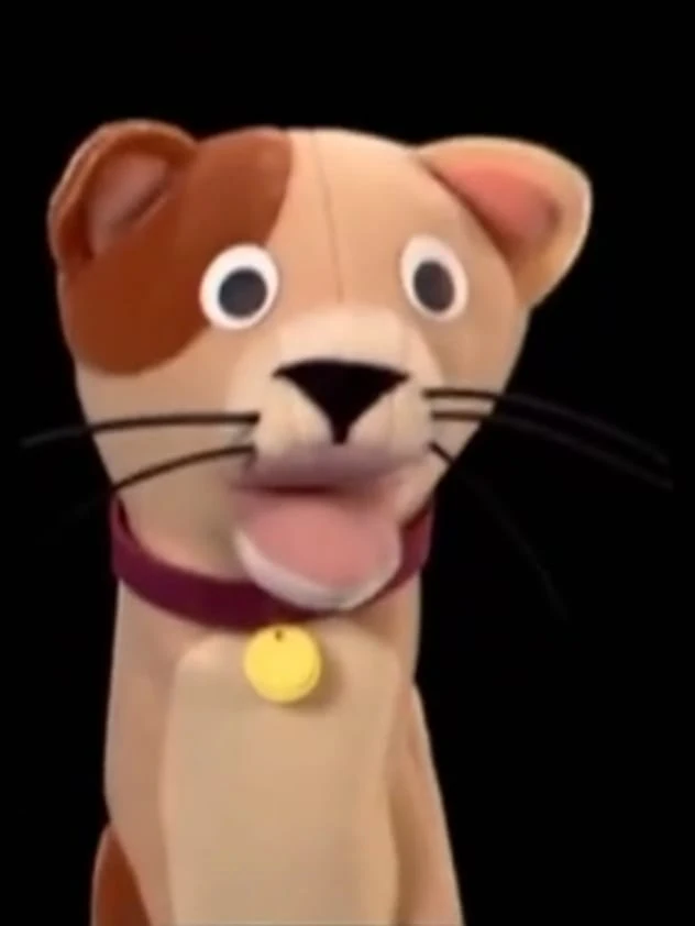 Stella The Cat | The True Baby Einstein Wiki | Fandom