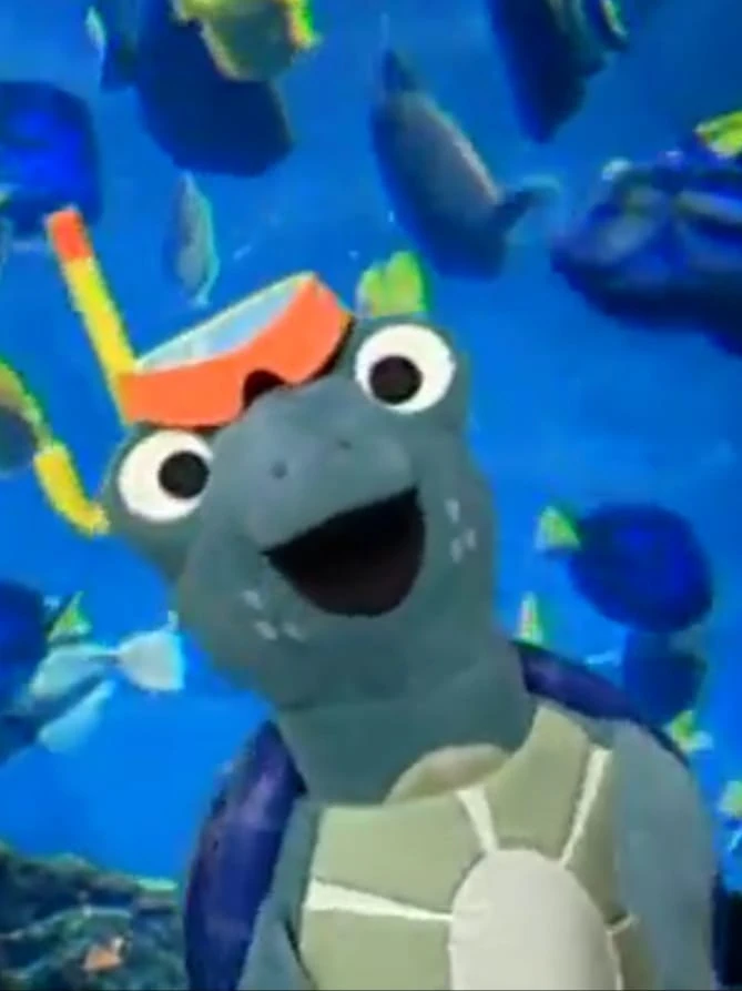 Category:Sea animals | The True Baby Einstein Wiki | Fandom