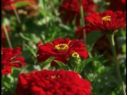 World of Words/Gallery | The True Baby Einstein Wiki | Fandom