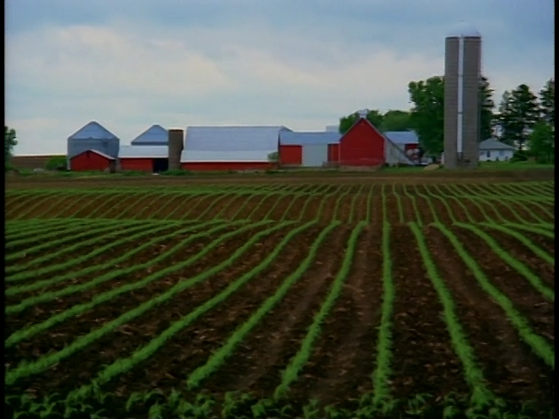 Old MacDonald Had a Farm (Instrumental) | The True Baby Einstein Wiki ...