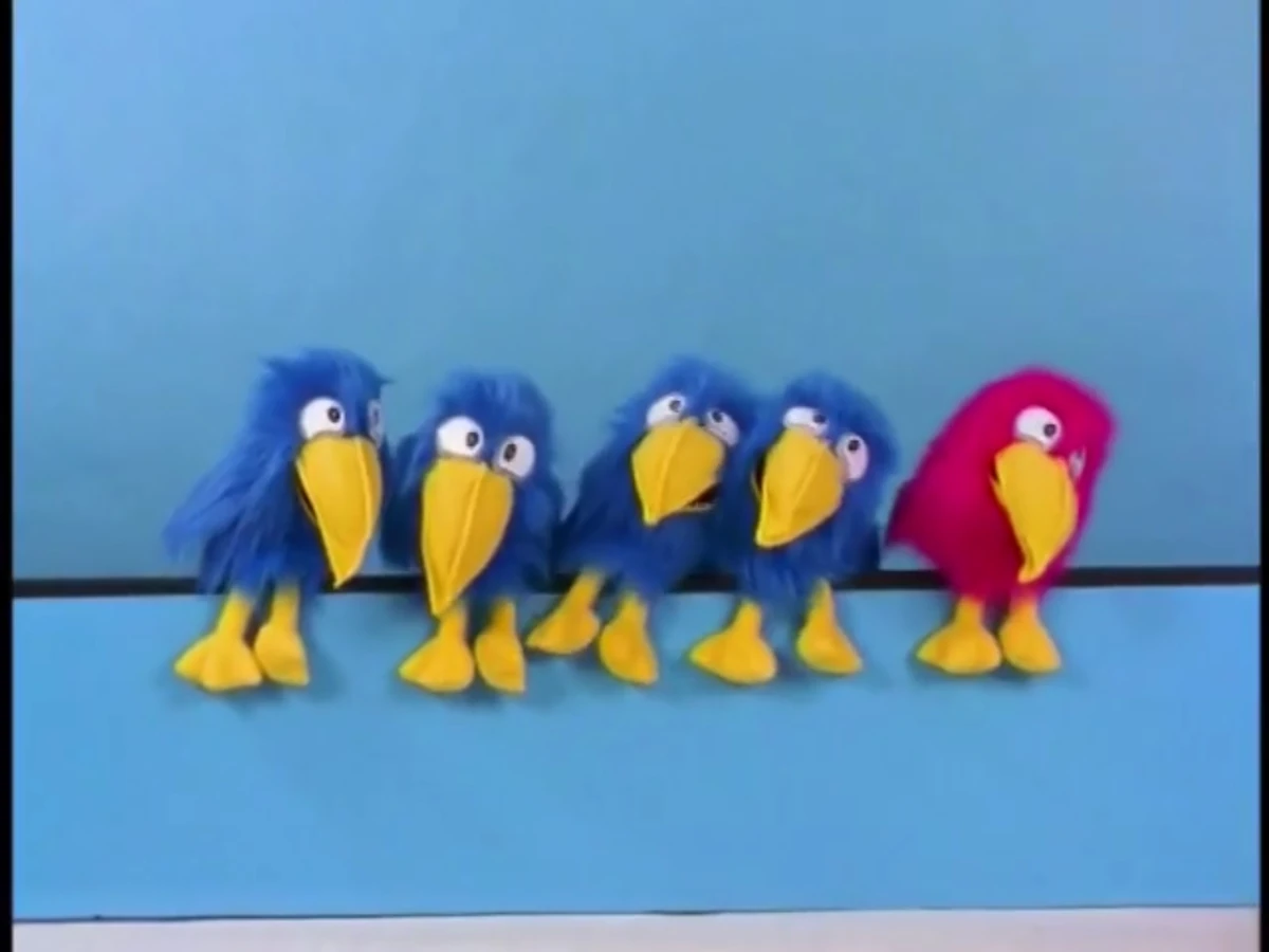 Toko-Bird Puppets | The True Baby Einstein Wiki | Fandom
