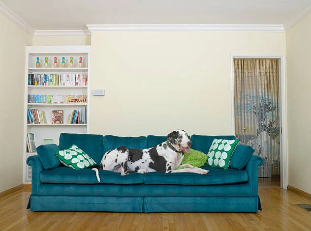 Animals Around Me Discovery Cards | The True Baby Einstein Wiki | Fandom