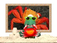 Neptune the Sea Turtle | The True Baby Einstein Wiki | Fandom