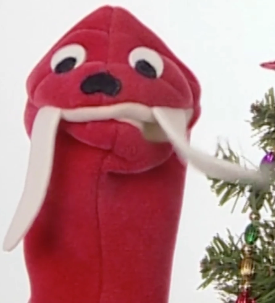 Walrus | The True Baby Einstein Wiki | Fandom