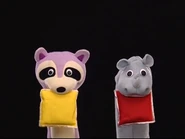 Raccoon | The True Baby Einstein Wiki | Fandom