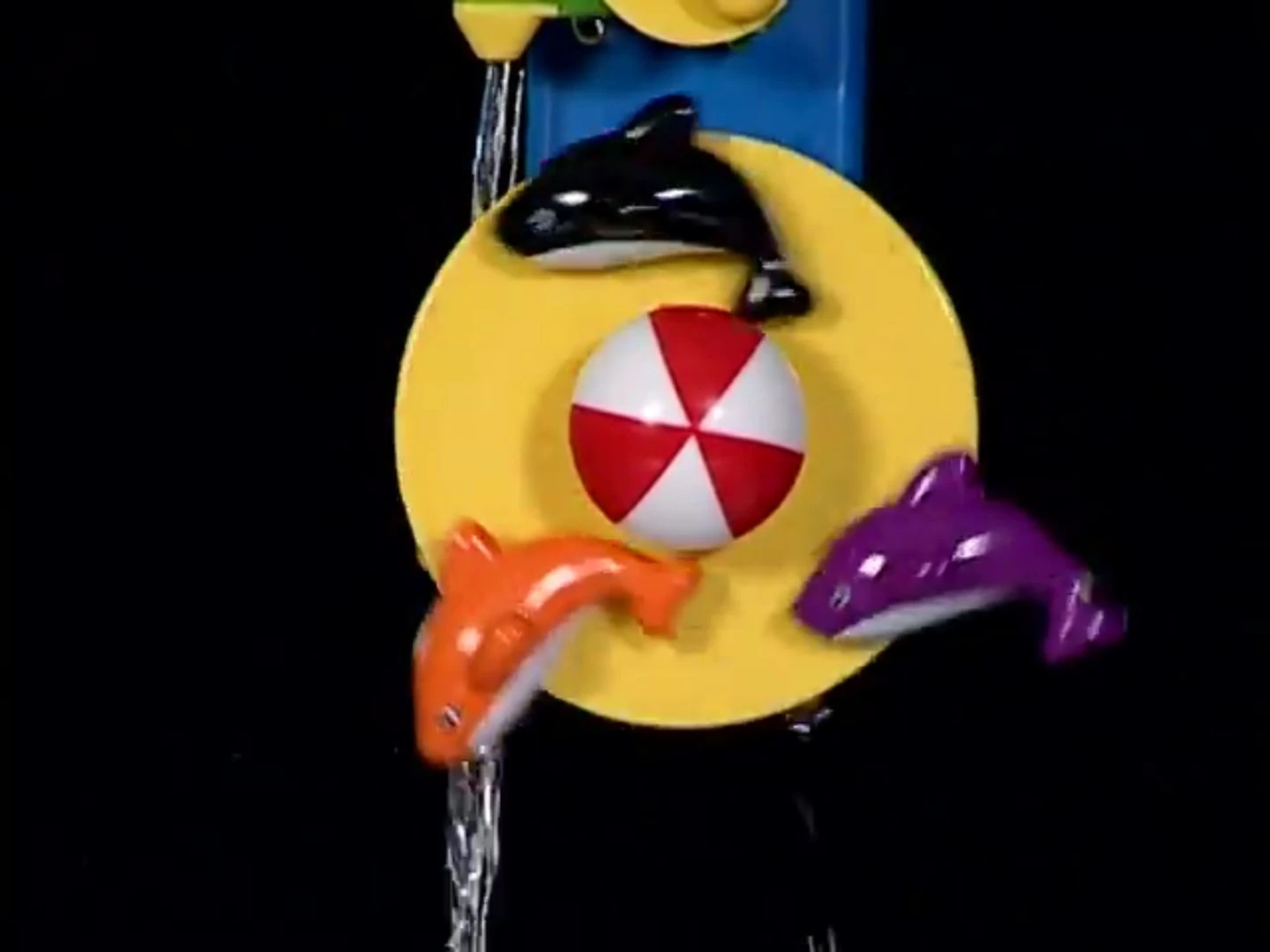 Dolphins Go Round | The True Baby Einstein Wiki | Fandom