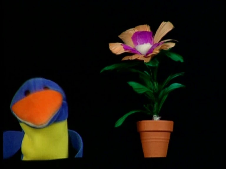 Discuss Everything About The True Baby Einstein Wiki | Fandom