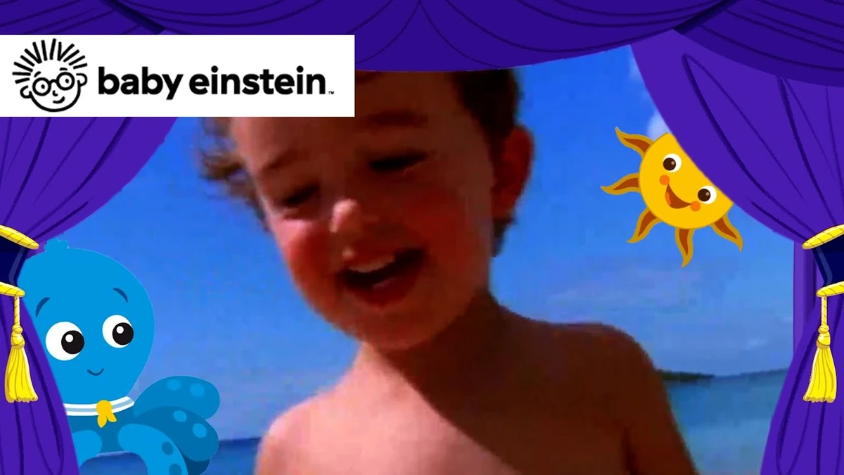 All About Summer | The True Baby Einstein Wiki | Fandom