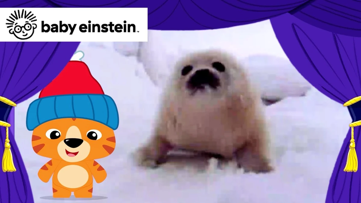 My First Animal Adventure | The True Baby Einstein Wiki | Fandom