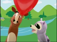 Raccoon | The True Baby Einstein Wiki | Fandom