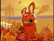 Baby Bach the Bunny | The True Baby Einstein Wiki | Fandom