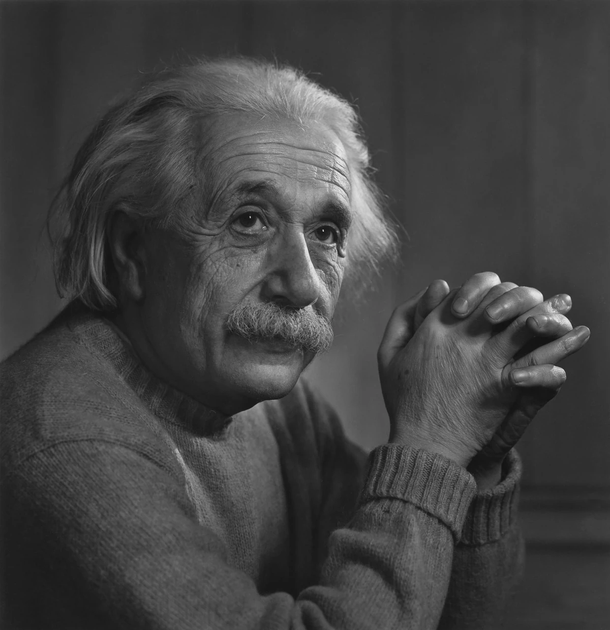 Albert Einstein | The True Baby Einstein Wiki | Fandom