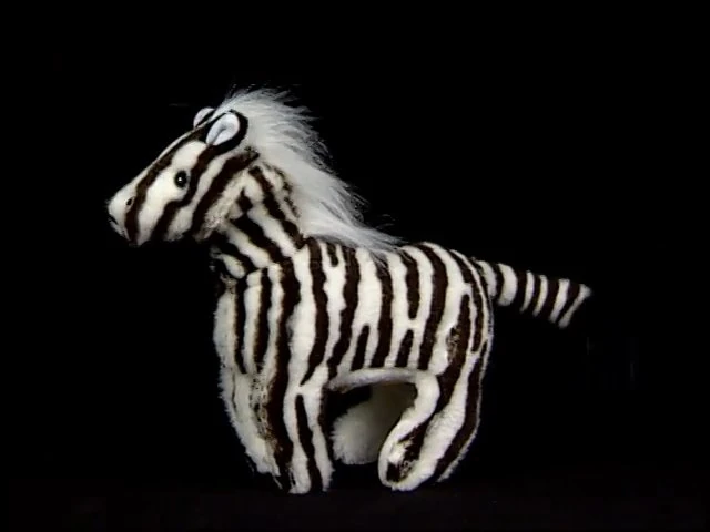 Zoe Zebra | The True Baby Einstein Wiki | Fandom