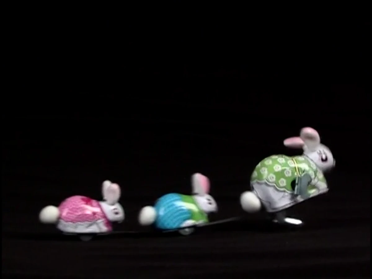 Hopping Bunny Family | The True Baby Einstein Wiki | Fandom