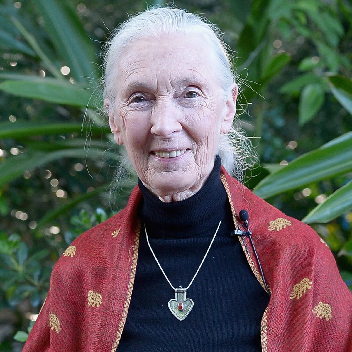 Jane Goodall | The True Baby Einstein Wiki | Fandom