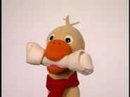 Duck | The True Baby Einstein Wiki | Fandom