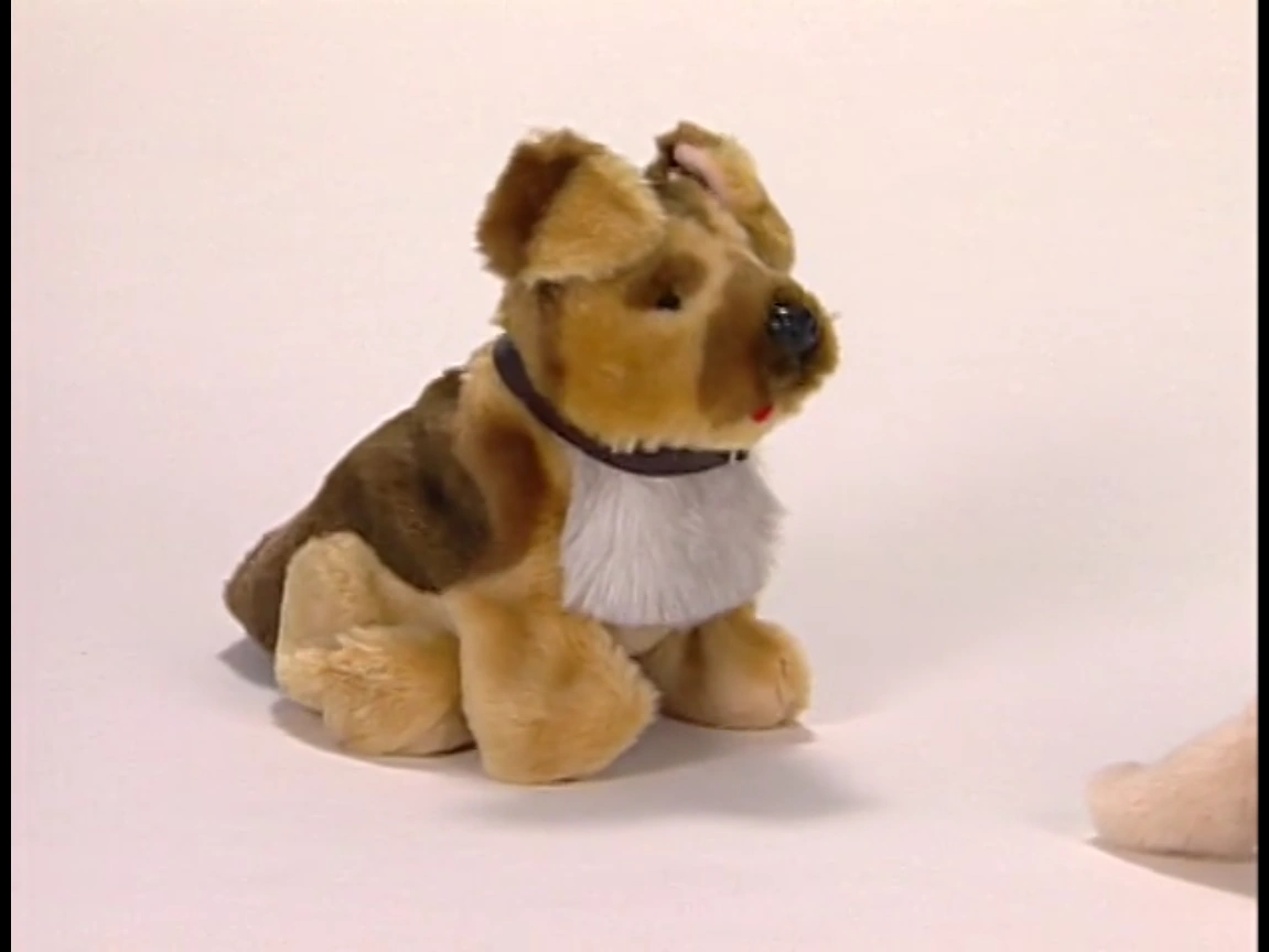 Scooter the German Shepard | The True Baby Einstein Wiki | Fandom