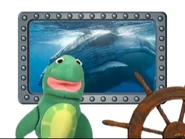 Neptune the Sea Turtle | The True Baby Einstein Wiki | Fandom