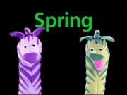 Seasons Zebras | The True Baby Einstein Wiki | Fandom