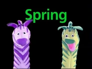 Baby Monet the Purple Zebra | The True Baby Einstein Wiki | Fandom