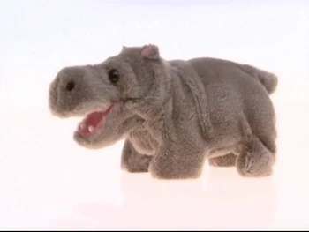 Mumbo Hippo | The True Baby Einstein Wiki | Fandom