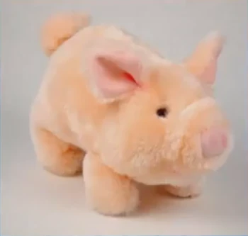 Pig (Baby Webster) | The True Baby Einstein Wiki | Fandom