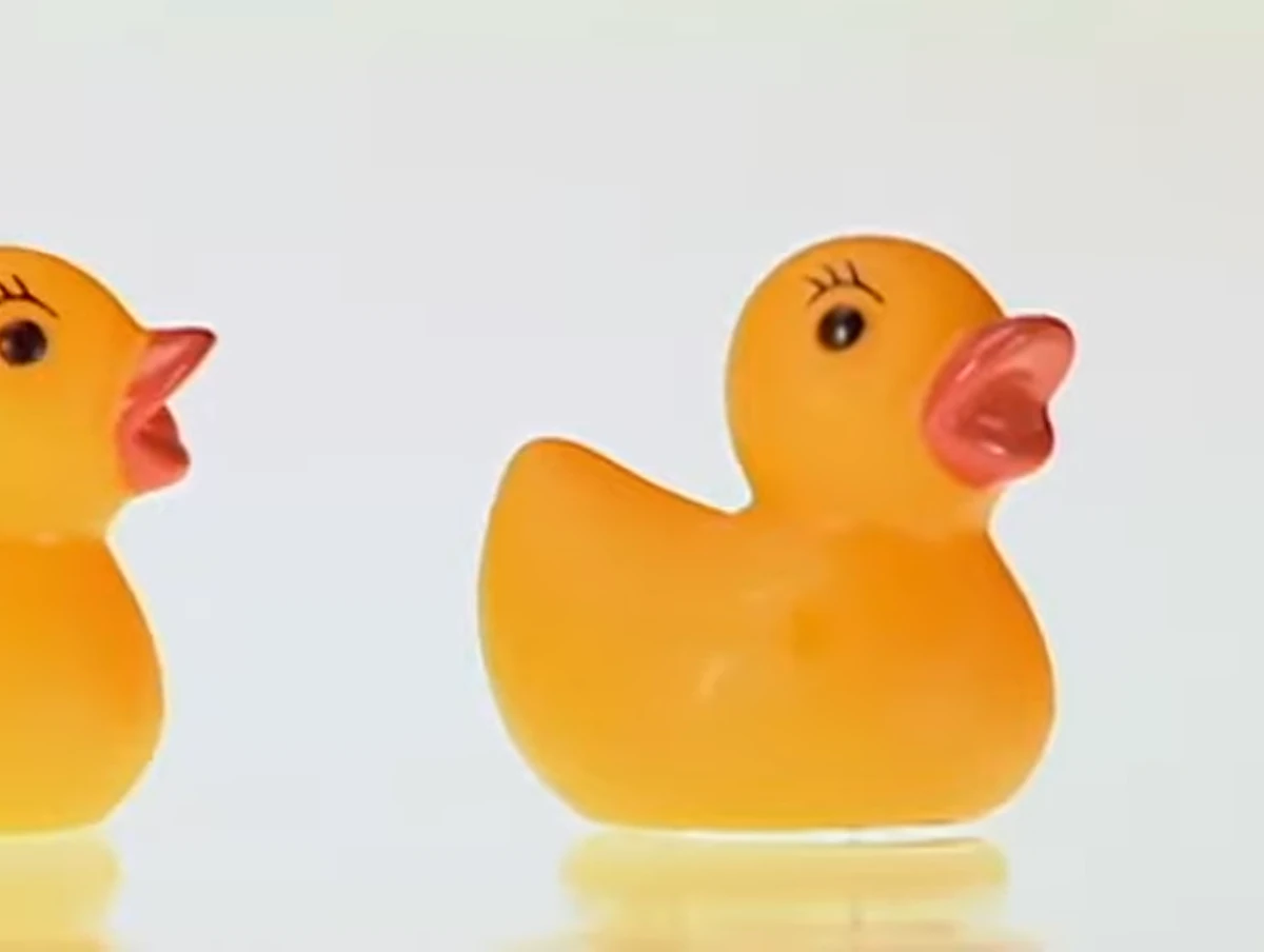 Mini Vinyl Rubber Duckie | The True Baby Einstein Wiki | Fandom