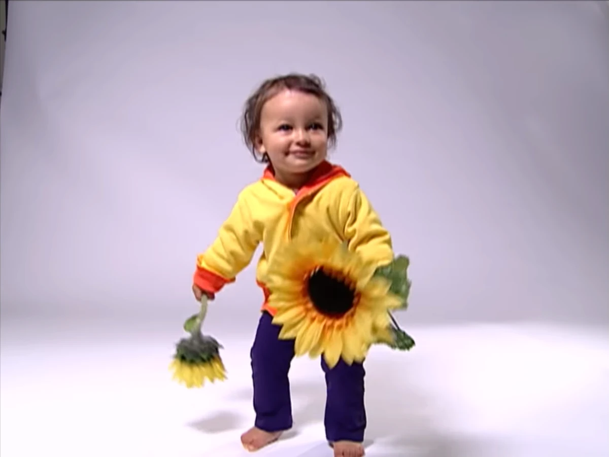 Category:Hobbycraft | The True Baby Einstein Wiki | Fandom