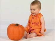 Baby Monet/Gallery | The True Baby Einstein Wiki | Fandom