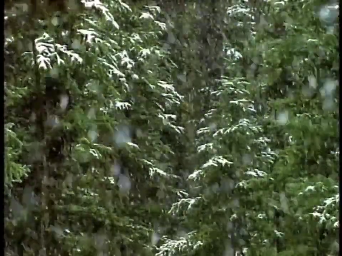 Stock Footage/Gallery | The True Baby Einstein Wiki | Fandom